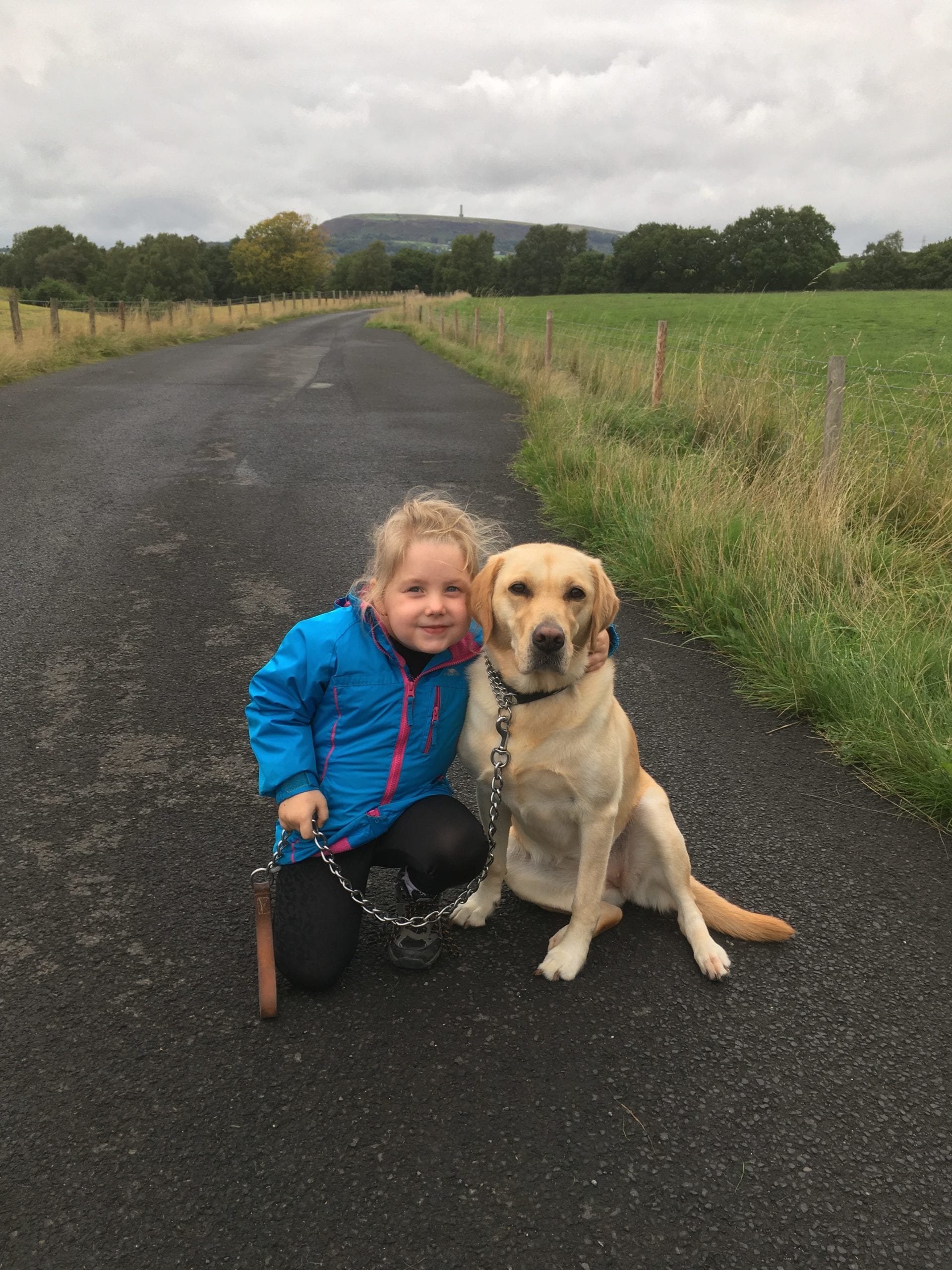 Five Things You Didn’t Know About Being a Guide Dog Owner - Digs for Dogs