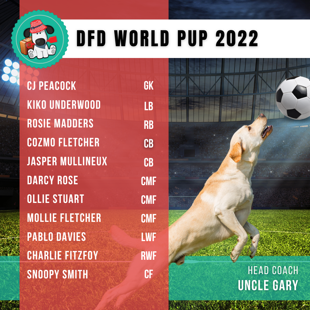 ️⚽️ The World Pup 2022 - Digs for Dogs